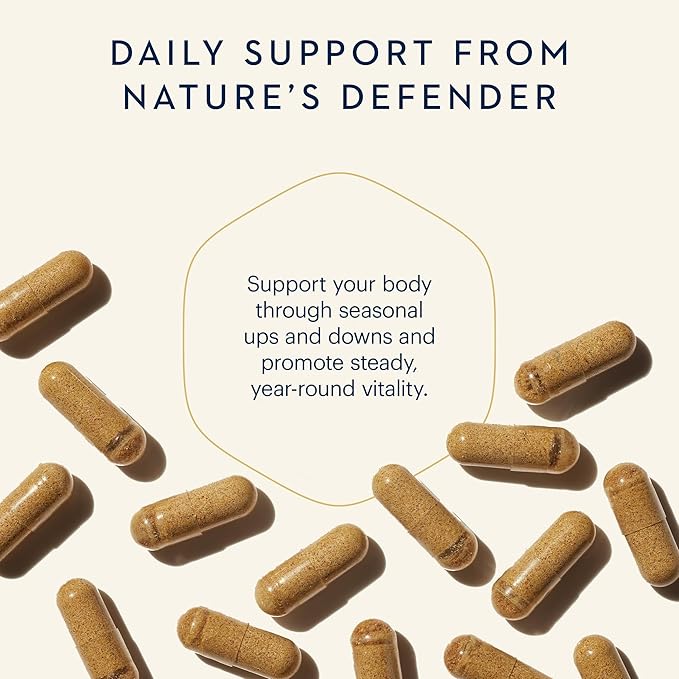 Bio30 Propolis 1-a-Day 90 Capsules NZ – Jazeez